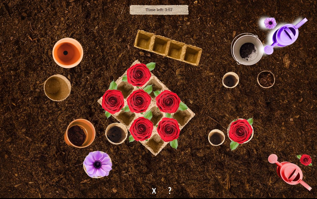 Bloom Boom - ActiveFloor